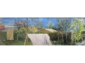 David Horton, Dale Miles, Stephanie Monteith - Artist Profile