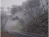 William Breen - Artist Profile