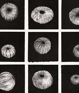 JKeelerMilne - Artist Profile