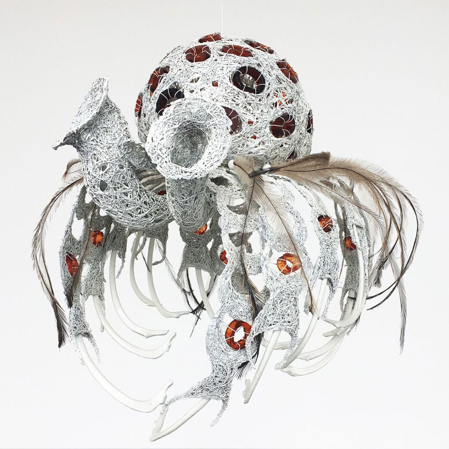 Jenny Crompton - Artist Profile