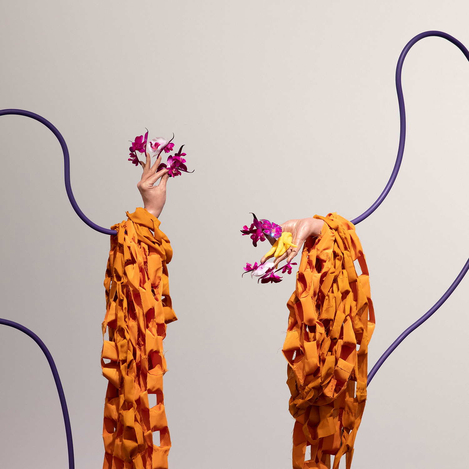 No Show - Artist Profile