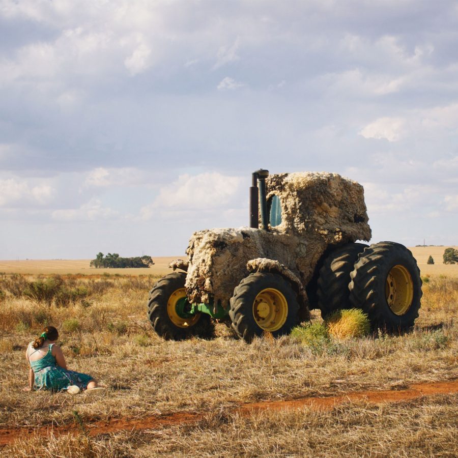 Bronwyn Bancroft - Artist Profile