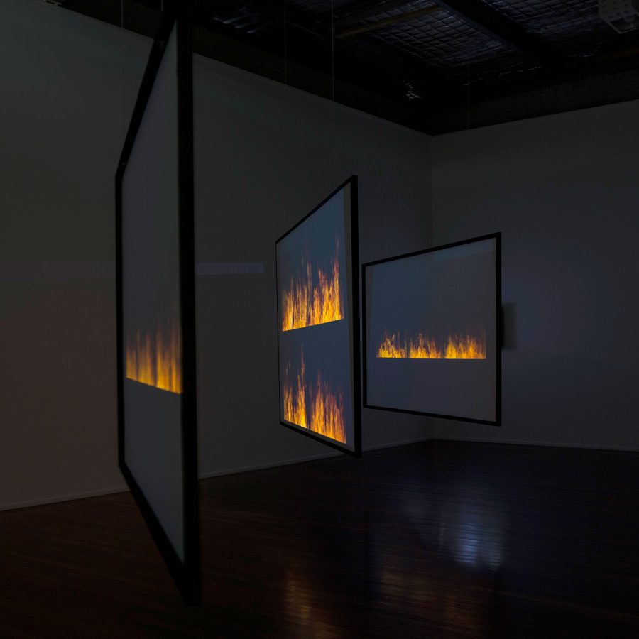 Deborah Kelly | Bodies of Work - Artist Profile