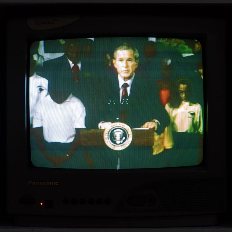 Bronwyn Bancroft - Artist Profile